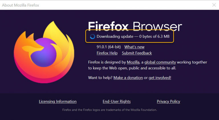 How to Fix Most Common SSL Certificate Errors in Firefox? How to Fix Most Common SSL Certificate Errors in Firefox?